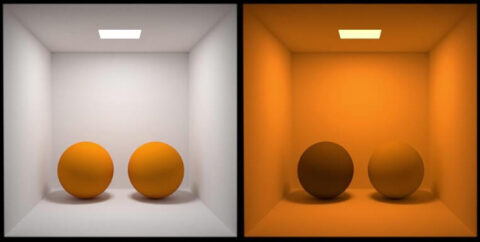 Can Some People See Colours You Can't? | Oxford Scholastica
