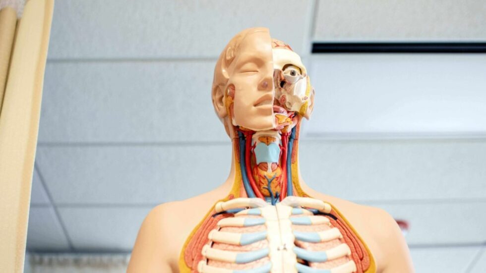 Why Study Medicine? | Oxford Scholastica Academy