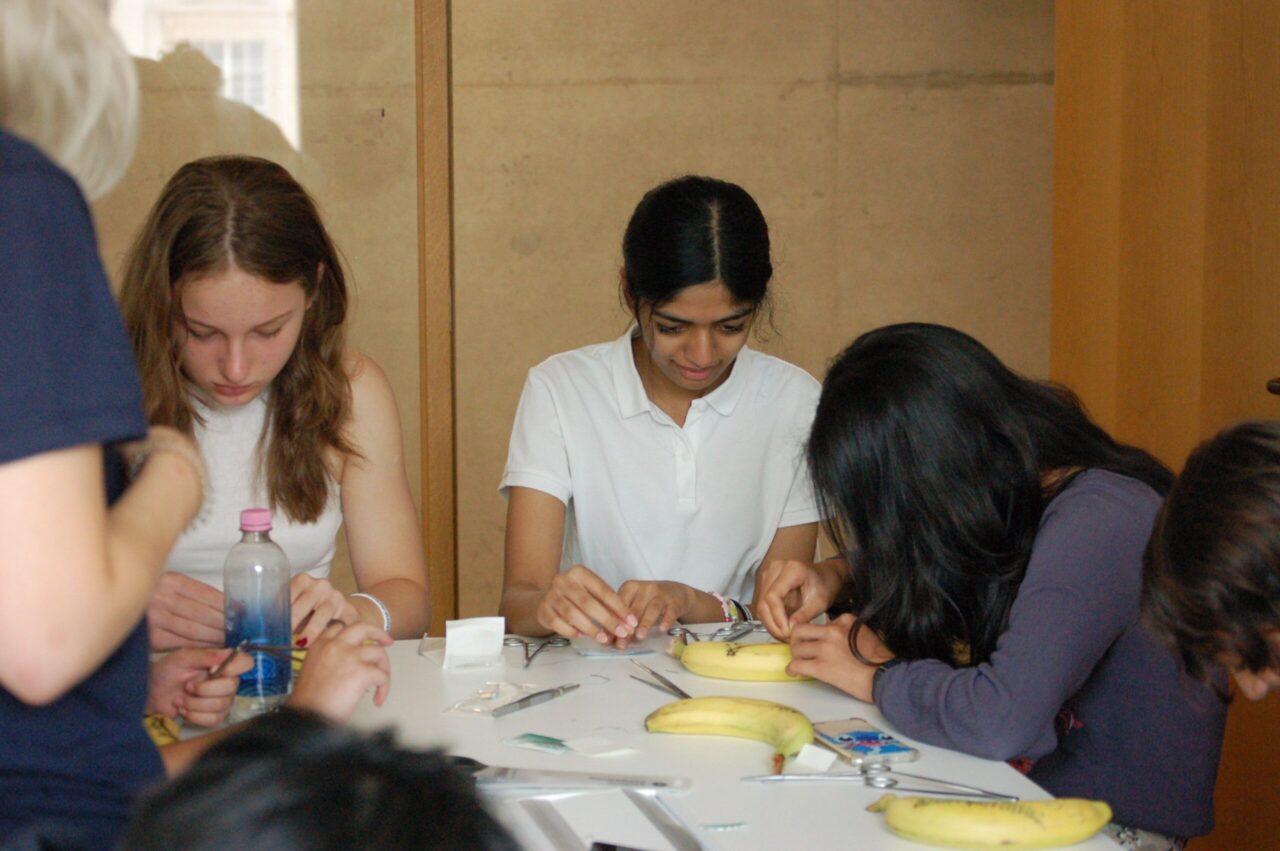 10 Reasons Why You Should Study Medicine | Oxford Scholastica Academy